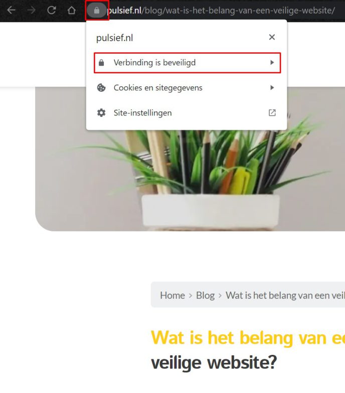 Wat is het belang van een veilige website? | Pulsief